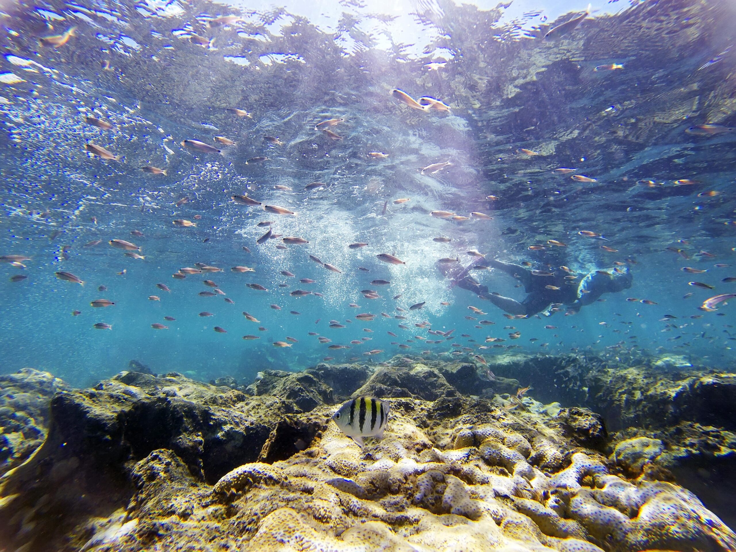 Go Deep: Why a First-Party Data Strategy Needs to Incorporate Depth ...